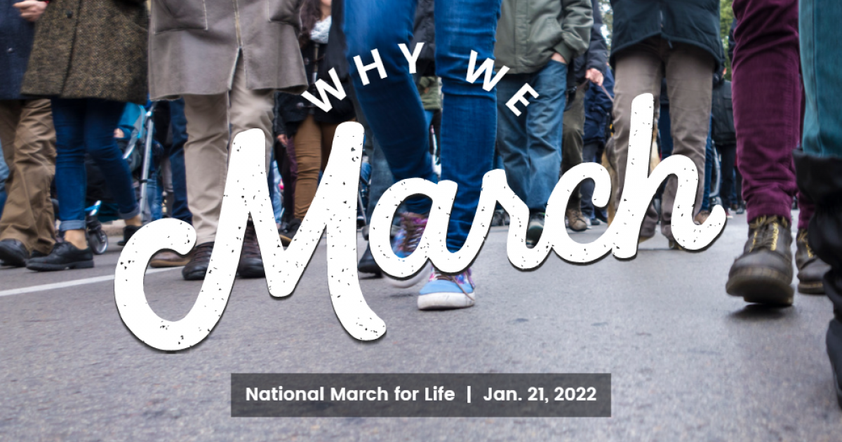 Why We March: Bearing Witnesses to the Truth for Life | The Catholic ...