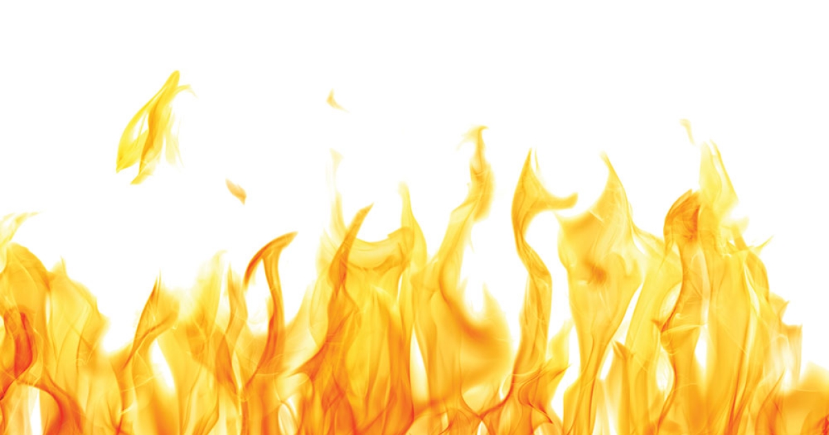 Spirit fuel | The Catholic Miscellany